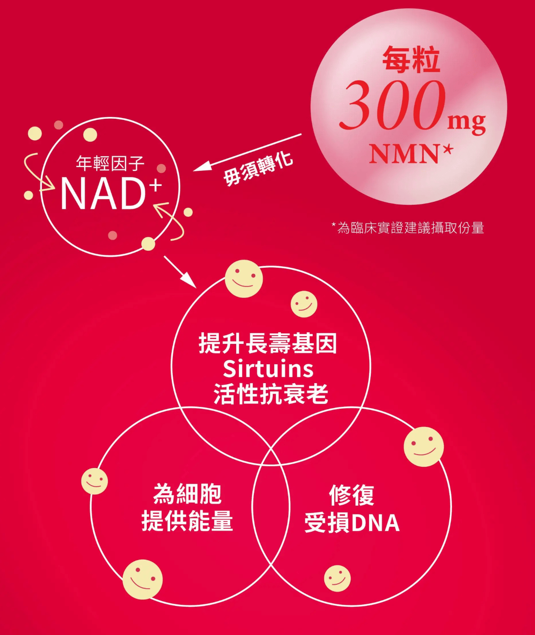 【拆解NMN 】提升活力同時抗衰老？ 甚麼是 NMN？ 功效、原理、選購前注意事項一文睇清！