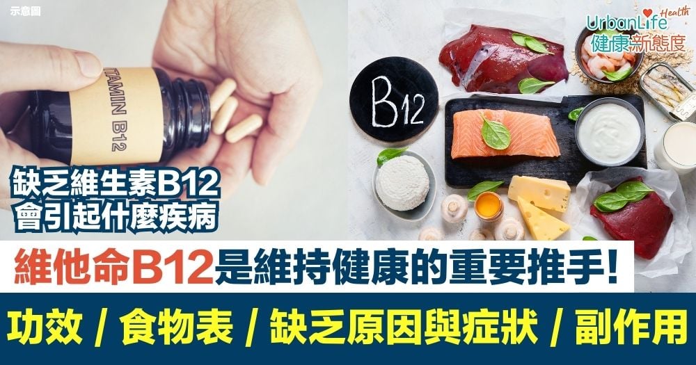 維他命B12｜B12維他命功效/B12食物一覽表/維他命B12缺乏原因